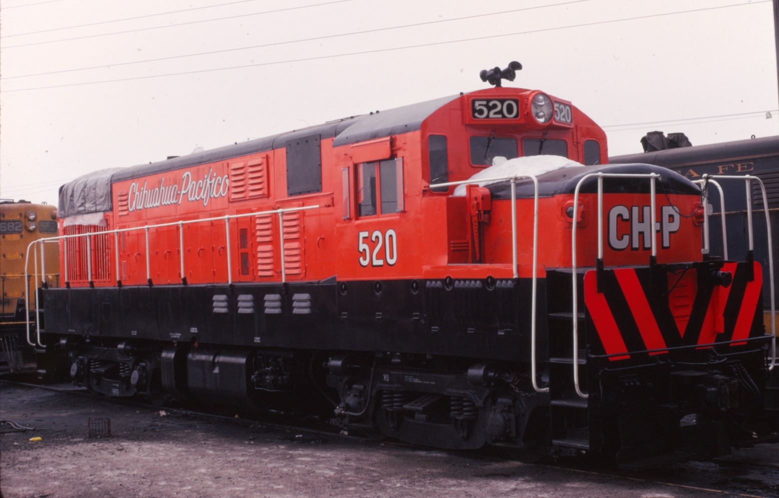 Chihuahua del Pacifico profile